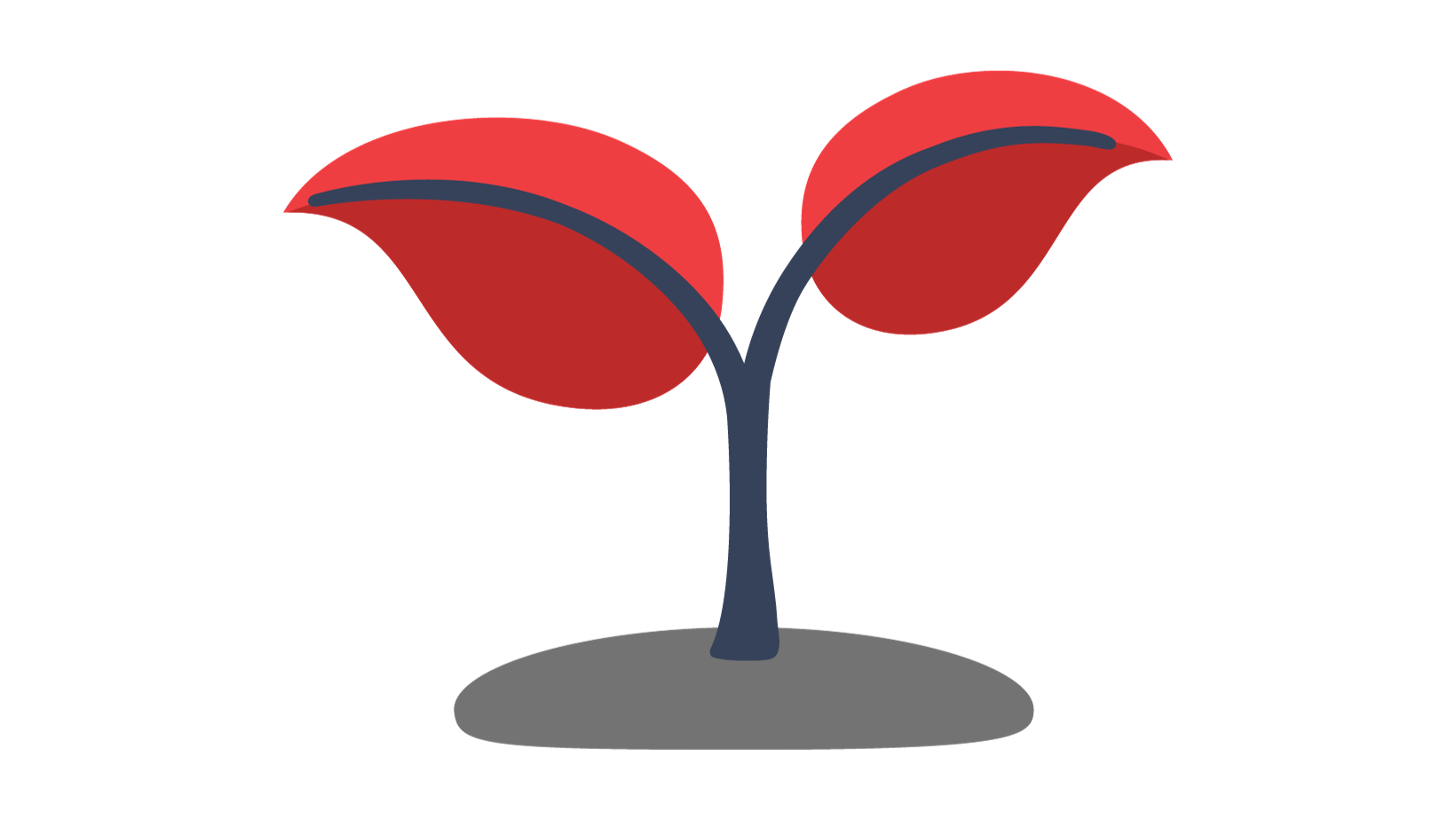 Say Yes to FCS | FCCLA